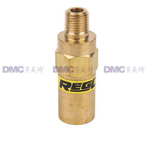 America RegO PRV Series Cryogenic Gas Safety Valves - 多美時(商貿)深圳有限公司